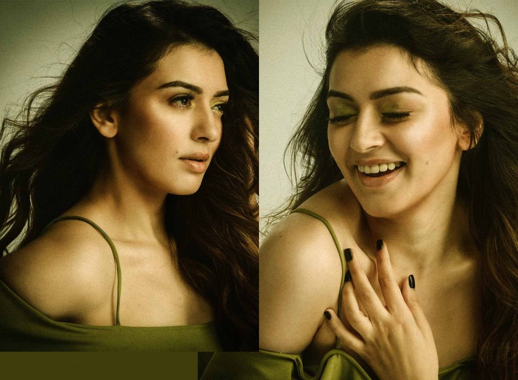Hansika Motwani Cute Photos Filmy19 1187